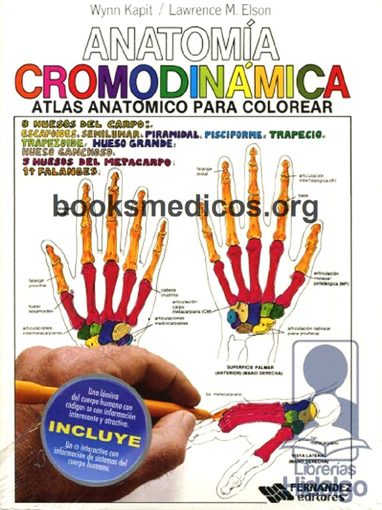 Anatomía Cromodinámica Wynn Kapit & Lawrence M. Elson | PDF