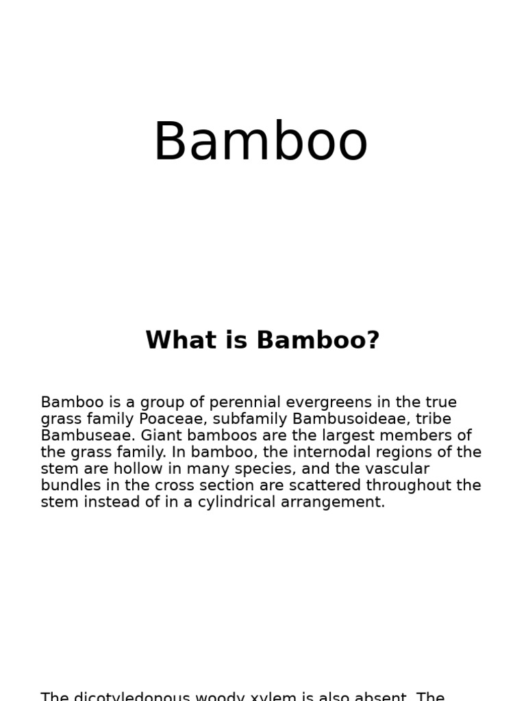 Bamboo | PDF