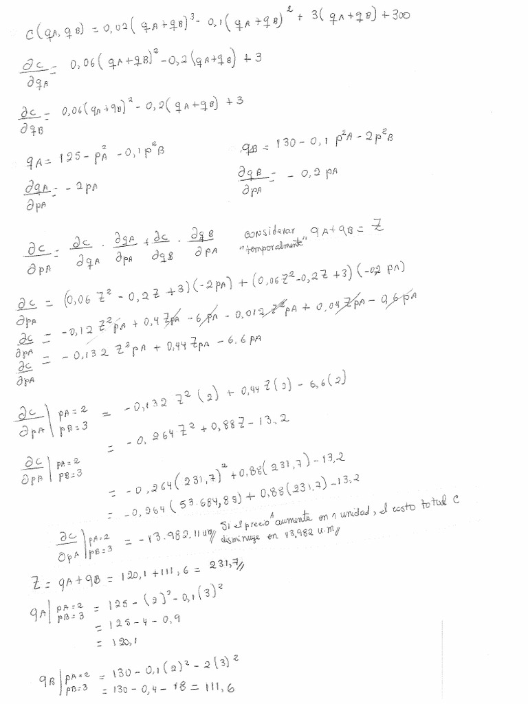 Ejercicio Aplicación Regla de La Cadena Funciones Multivariadas | PDF