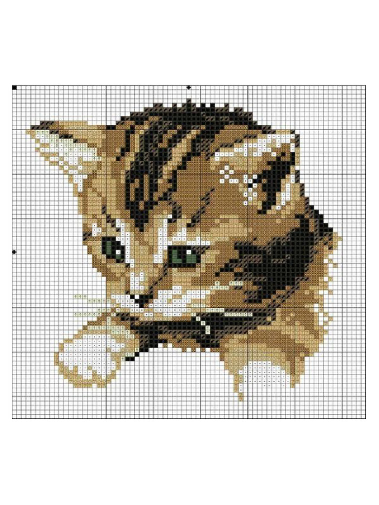 Bordado de Gato | PDF