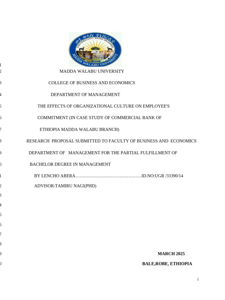 Lencho Abera's Proposal | PDF | Organizational Culture | Socialization