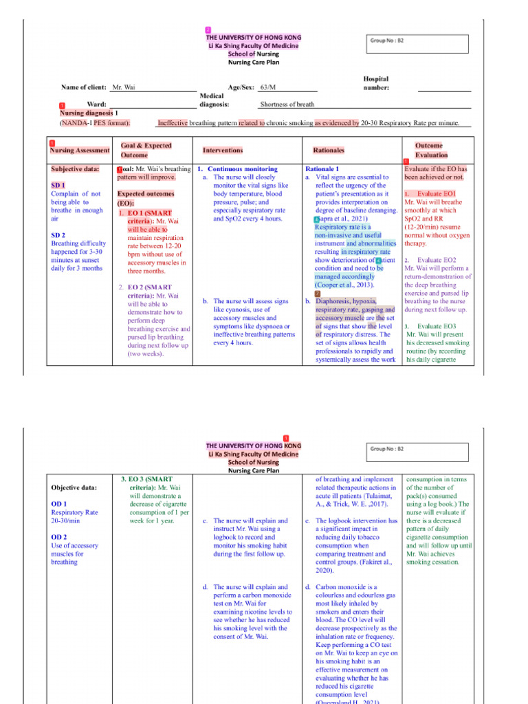 Nursing Care Plan - Group B2 | PDF