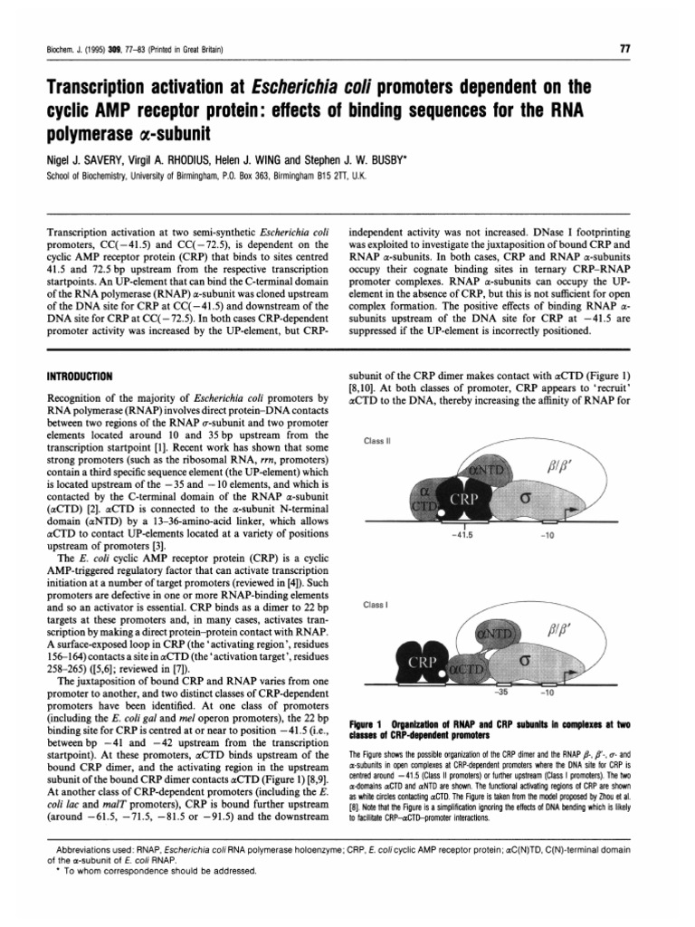 Transcription Activation at Escherichia Coli Promoters Dependent | PDF ...
