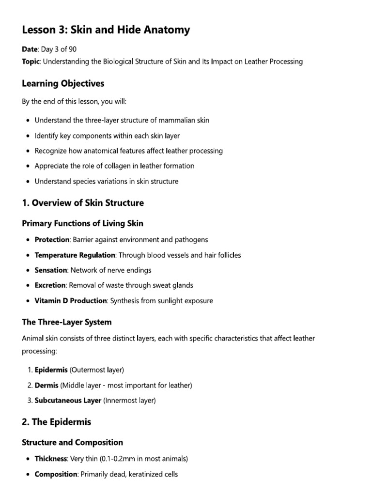 Lesson 3 - Skin and Hide Anatomy | PDF