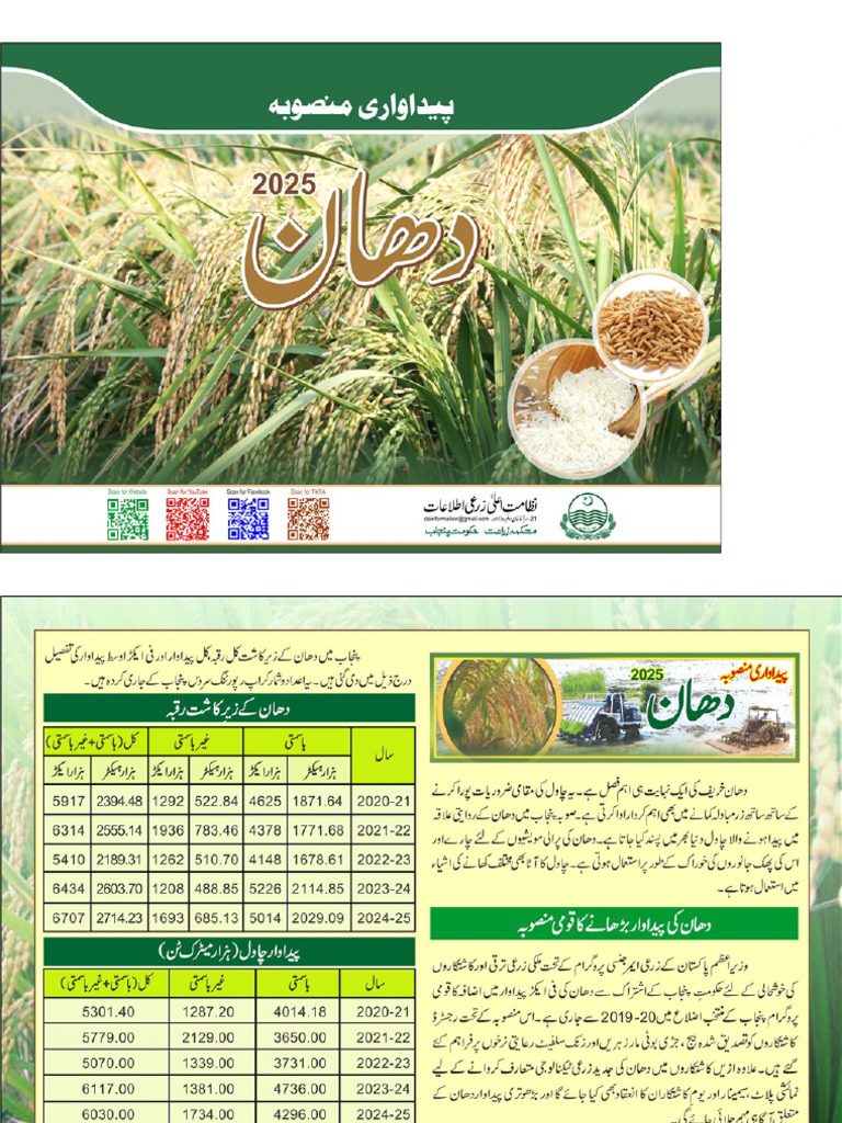Prod Plan Rice 2025 | PDF