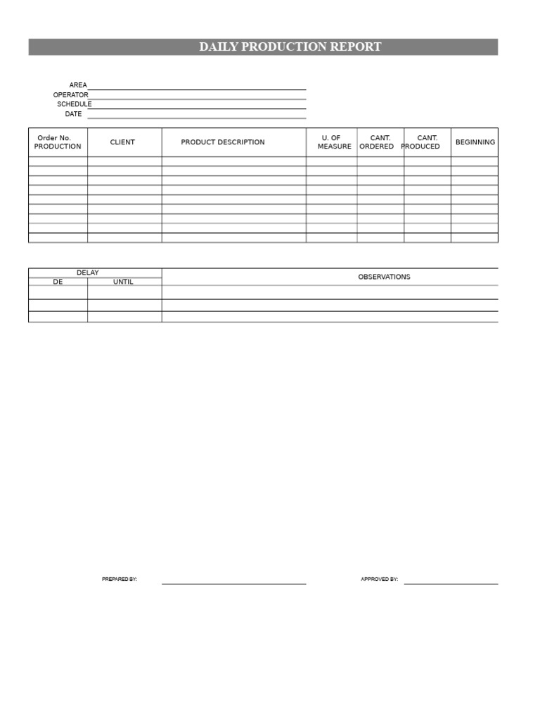 Daily Production Report Template | PDF