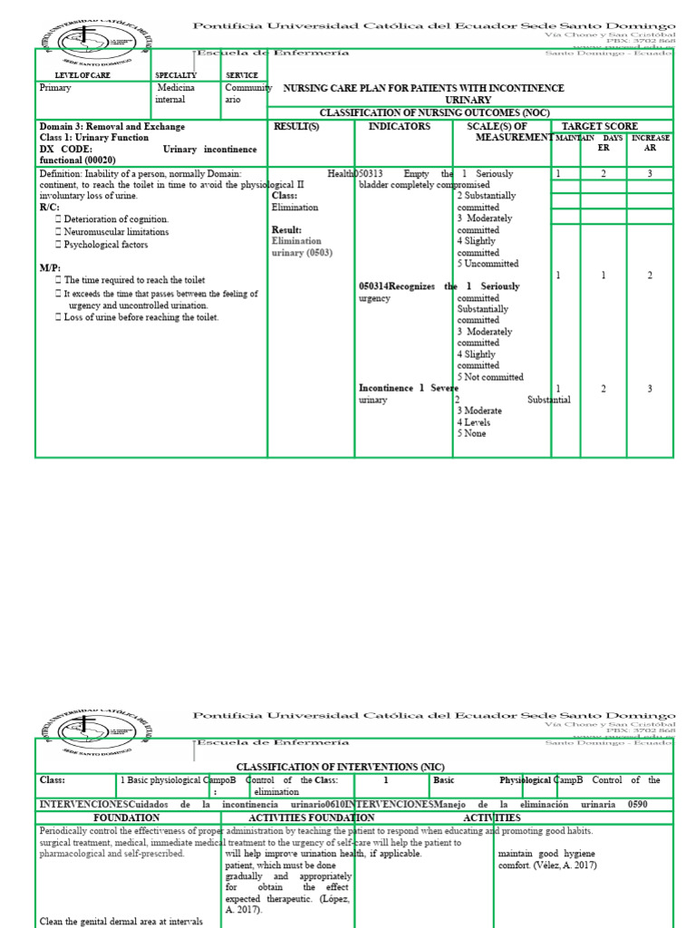 Nanda Nic Noc Urinary Incontinence | PDF | Urinary Incontinence ...