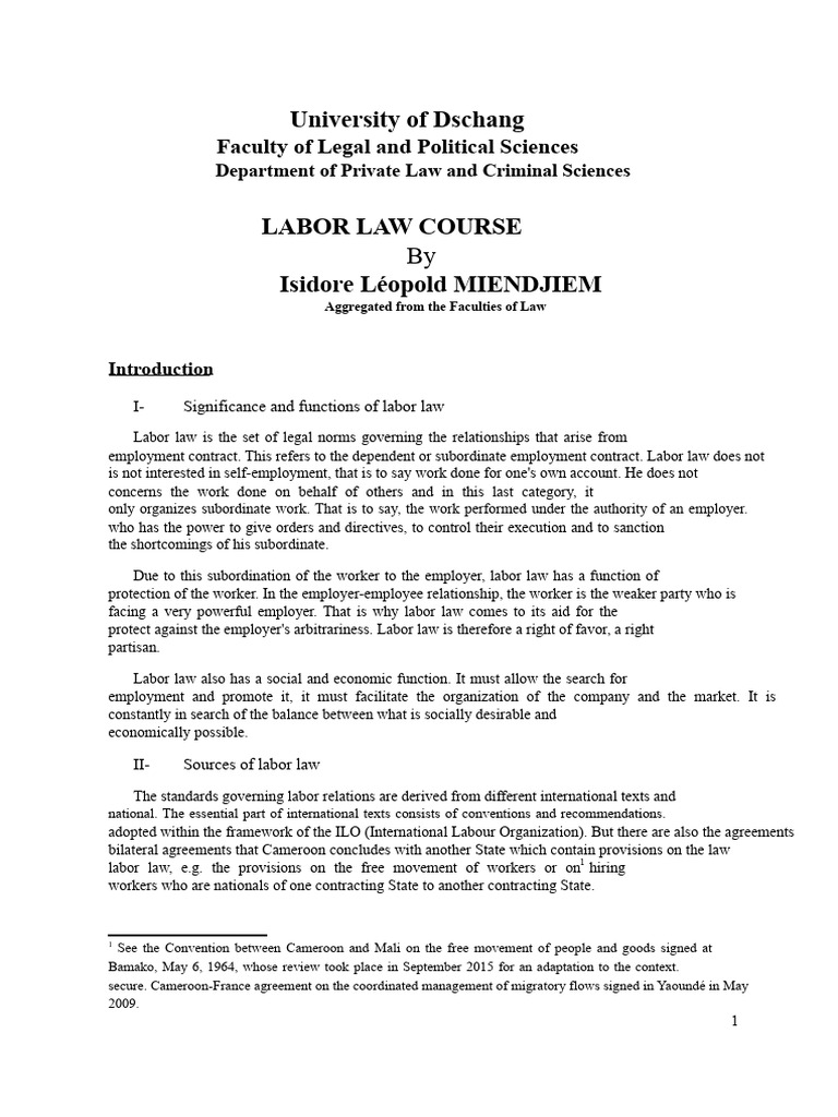 Understanding Labor Law Fundamentals | PDF | Employment | Labour Law