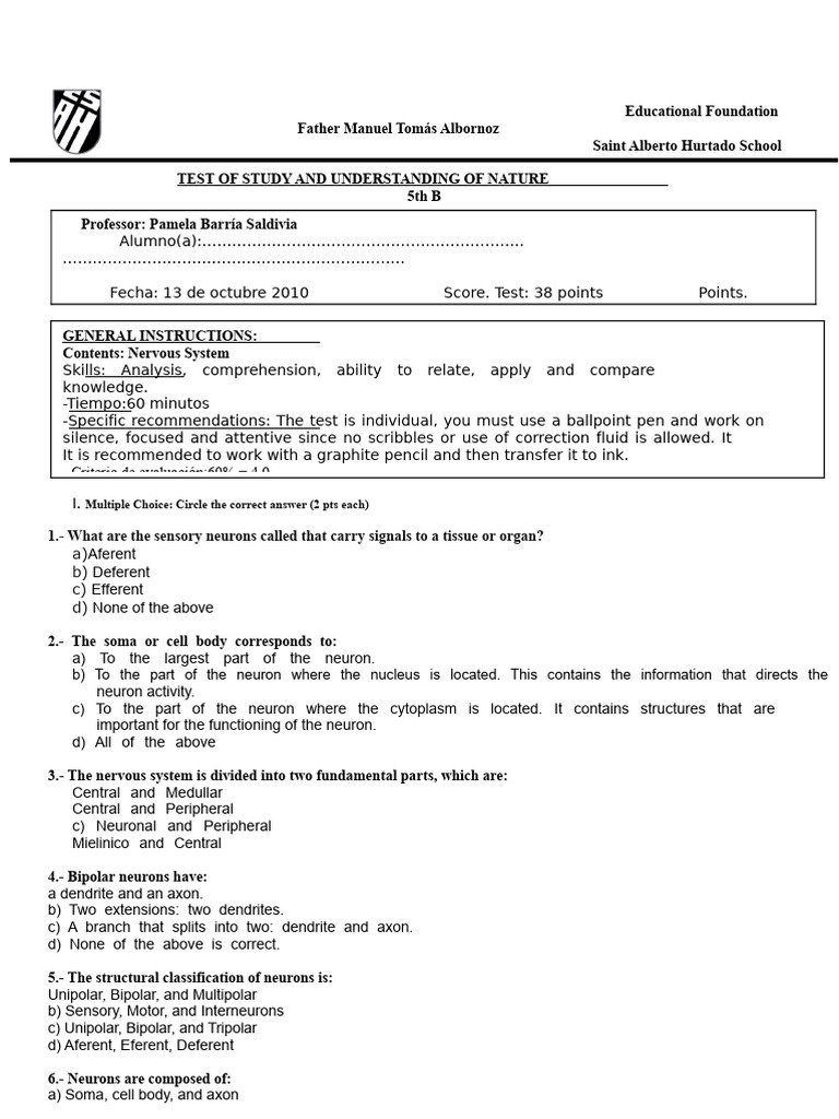 Nervous System Test 5th Grade B | PDF | Axon | Neuron