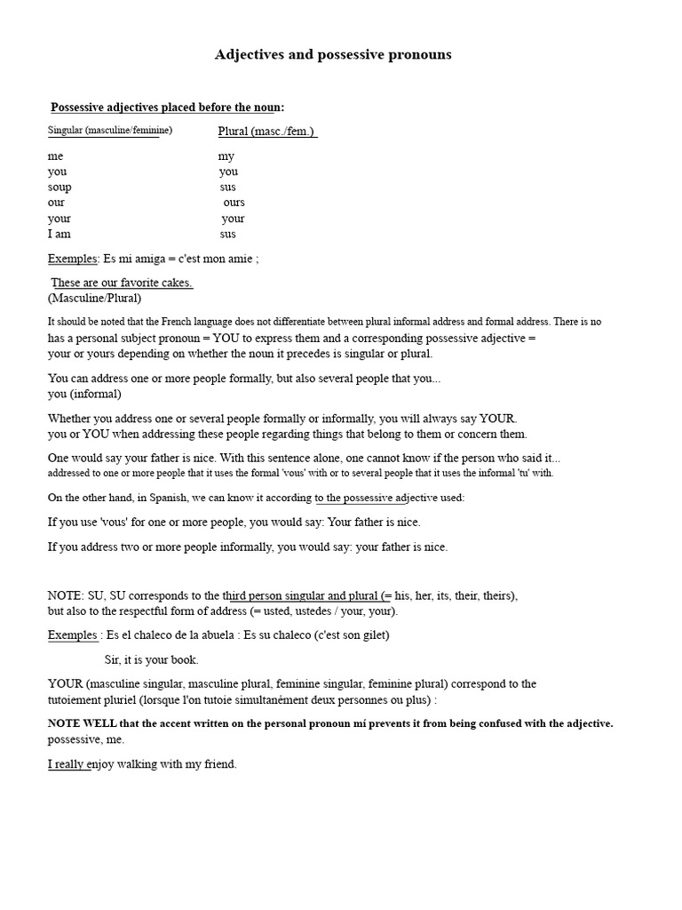 Understanding Possessive Adjectives & Pronouns | PDF | Grammatical ...