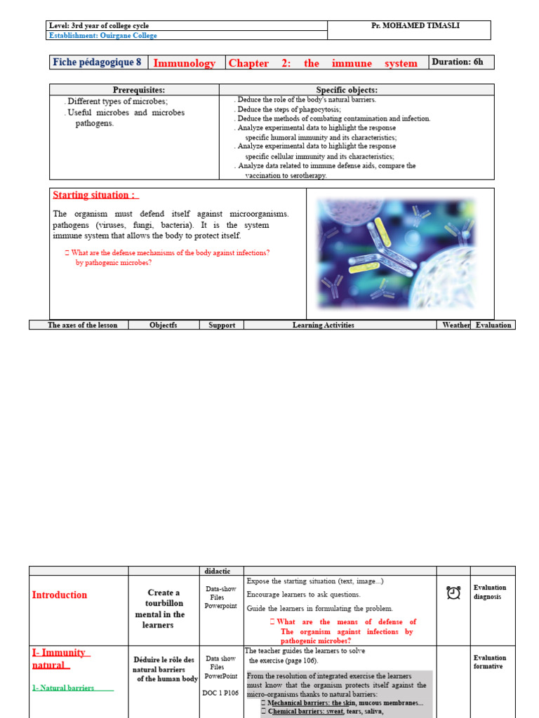 Teaching Sheet 8 - The Immune System | PDF | Lymphocyte | Immune System
