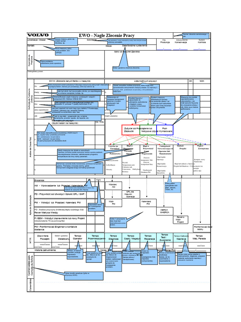 EWO Formularz Instrukcje | PDF