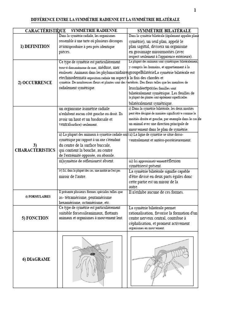 Symétrie radiale vs bilatérale expliquée | PDF | Symétrie