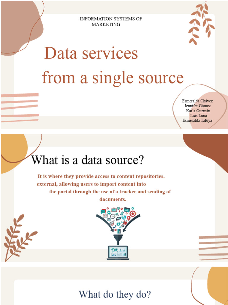 Single Source Data Services | PDF | Data | Marketing