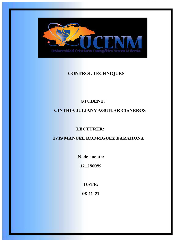 Control Techniques | PDF | Methodology | Audit