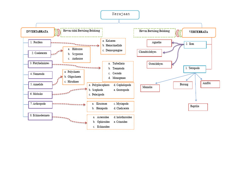 Concept Map Kingdom Animalia | PDF