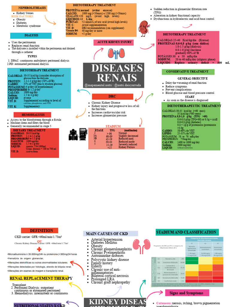 Mental Maps Kidney Diseases | PDF | Kidney | Clinical Medicine
