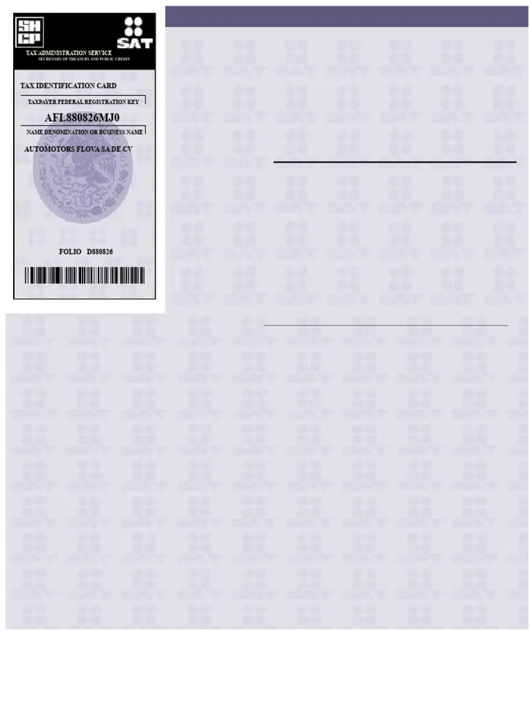 Tax Identification Card Sat | PDF