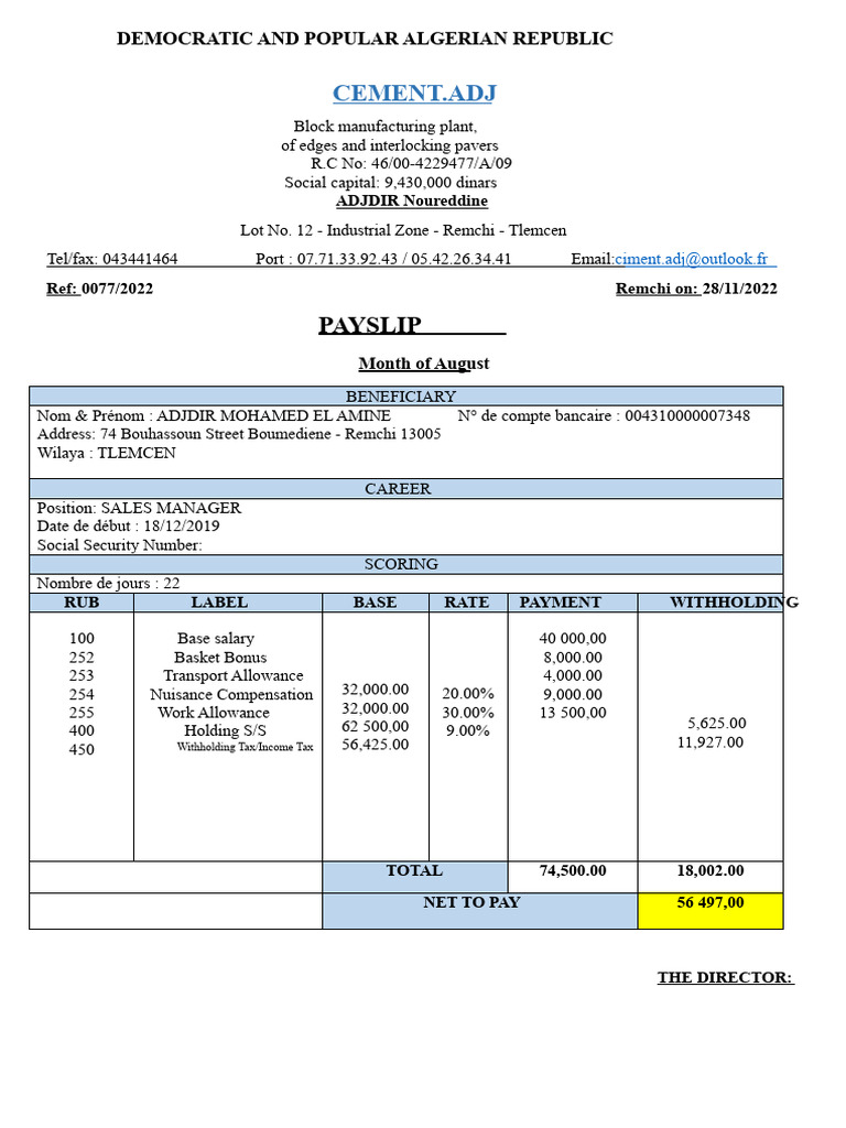 Pay Slips | PDF | Payments | Government Finances