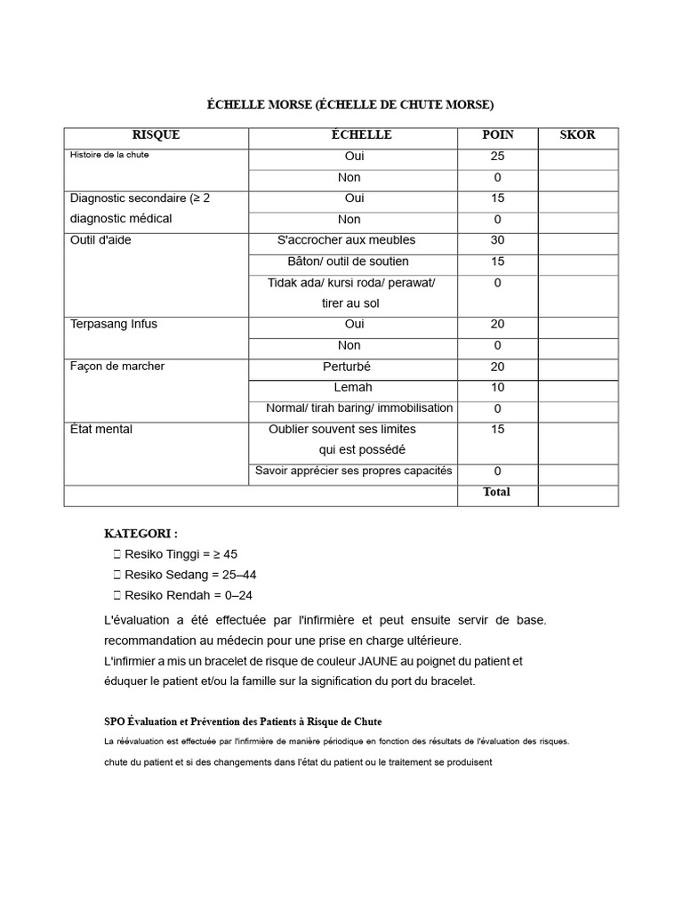 Évaluation des Risques de Chute avec Échelle Morse | PDF | Allaitement ...