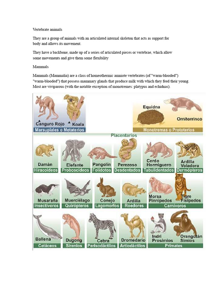 Overview of Vertebrate and Invertebrate Animals | PDF | Skeleton ...