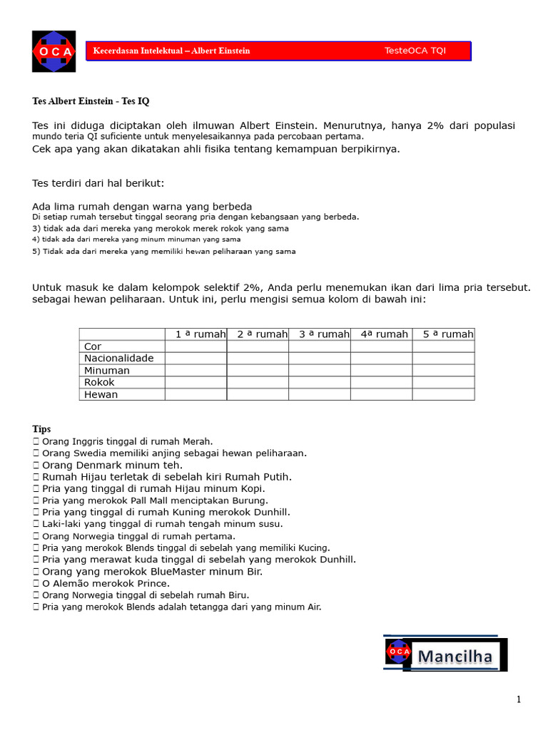 Tes Qi Einstein | PDF