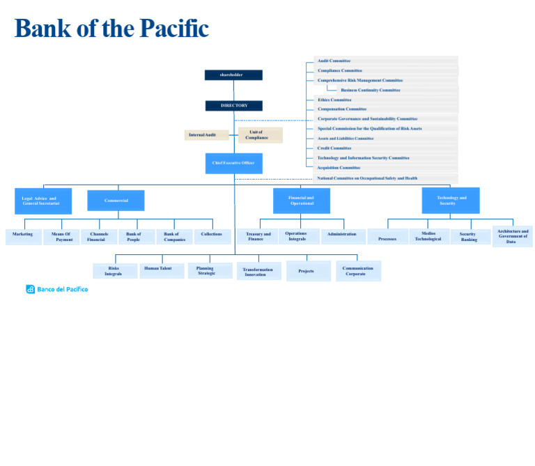 Organizational Structure BdP2021 | PDF | Banks | Internal Audit
