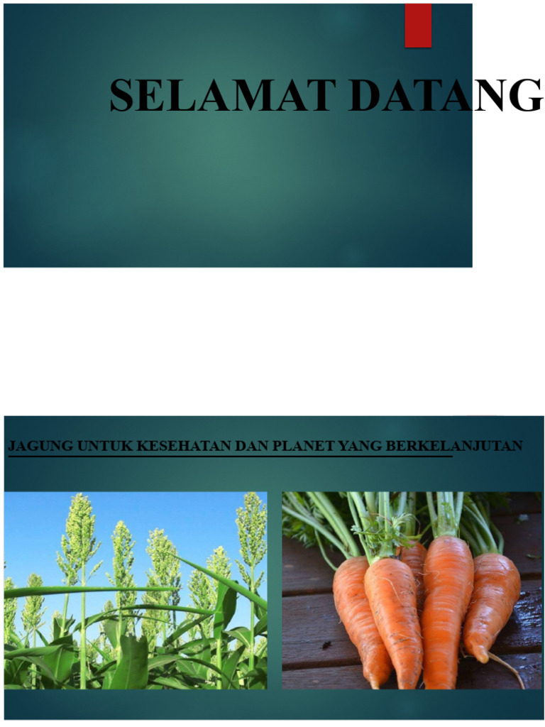 Manfaat Millet untuk Kesehatan dan Lingkungan | PDF