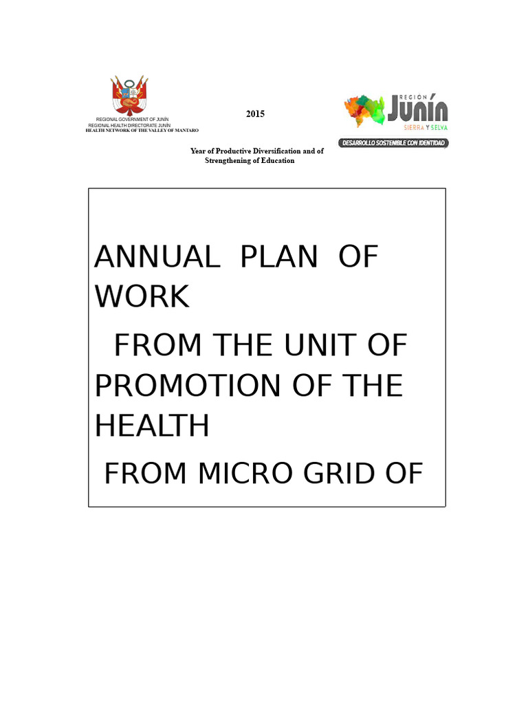 Annual Work Plan of The Micro Health Network of Chilca | PDF | Health ...