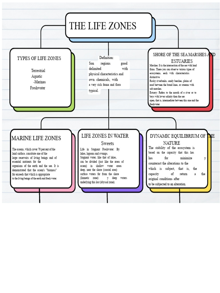Multicolored Doodle Children's Concept Map Scheme | PDF | Aquatic ...