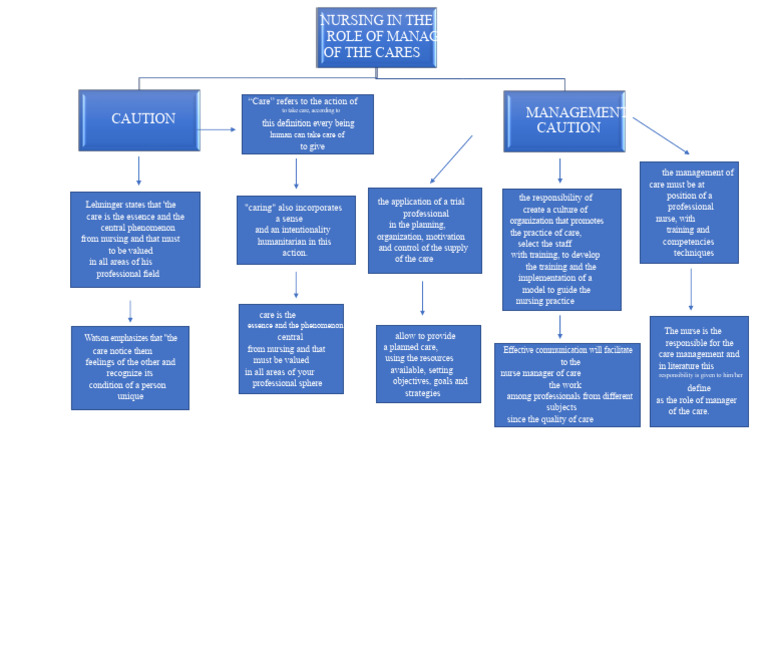 Nursing in The Role of Care Manager | PDF | Nursing | Psychology