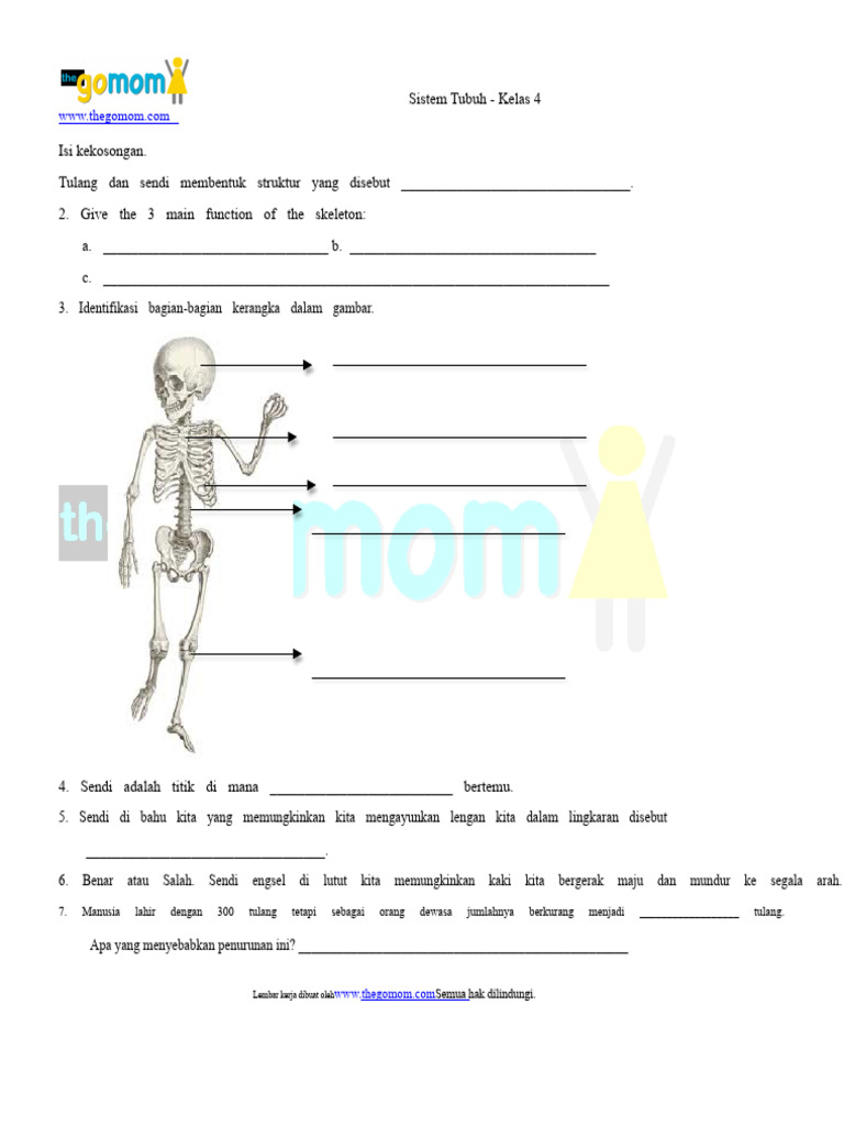 Sistem Tubuh Manusia untuk Kelas 4 | PDF