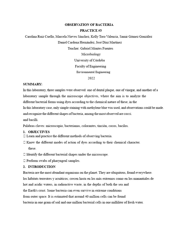 Report On Bacteria Observation | PDF | Staining | Bacteria