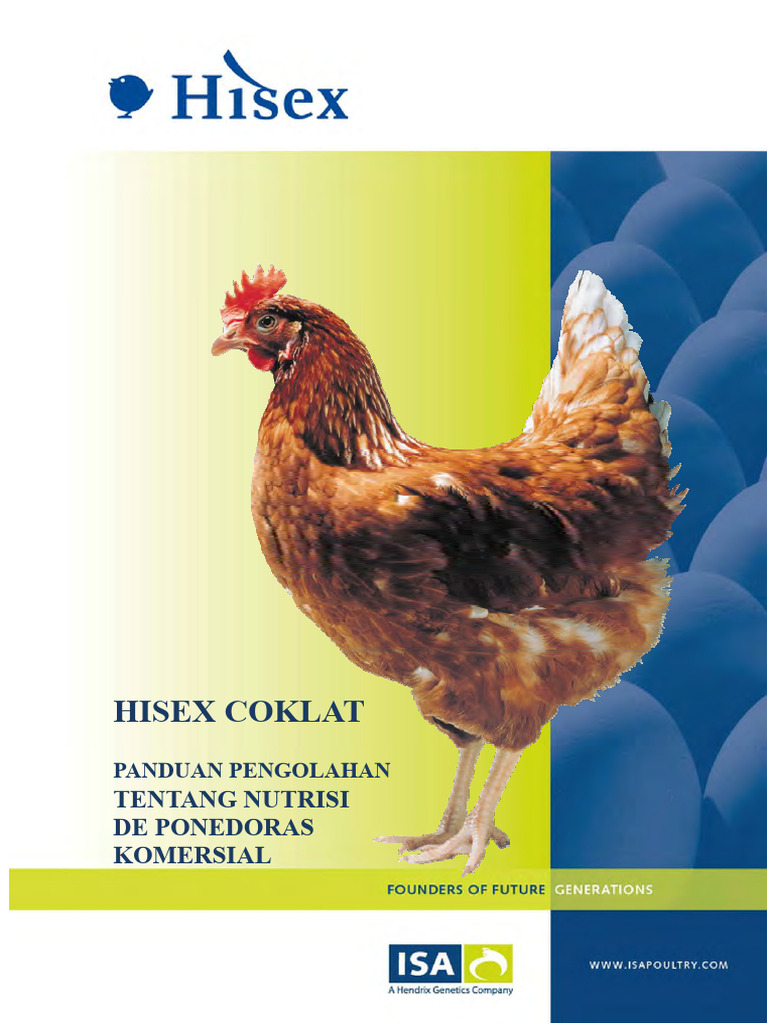 Panduan Pengelolaan Nutrisi Hisex Brown | PDF