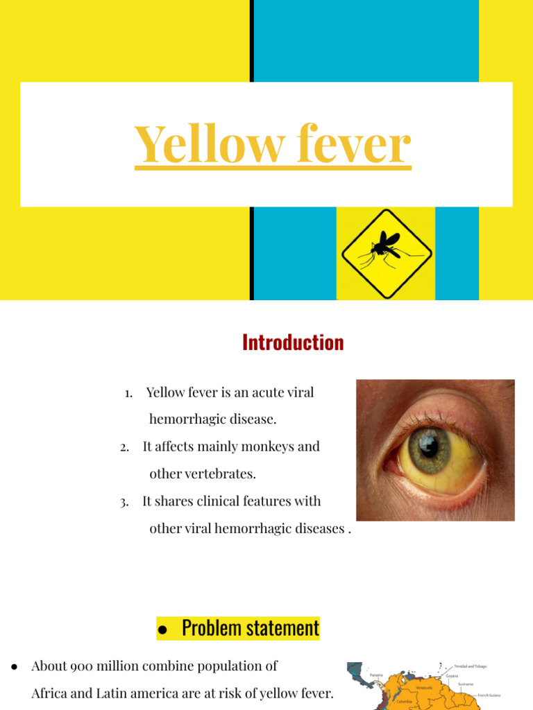 Understanding Yellow Fever: Risks & Control | PDF | Yellow Fever ...