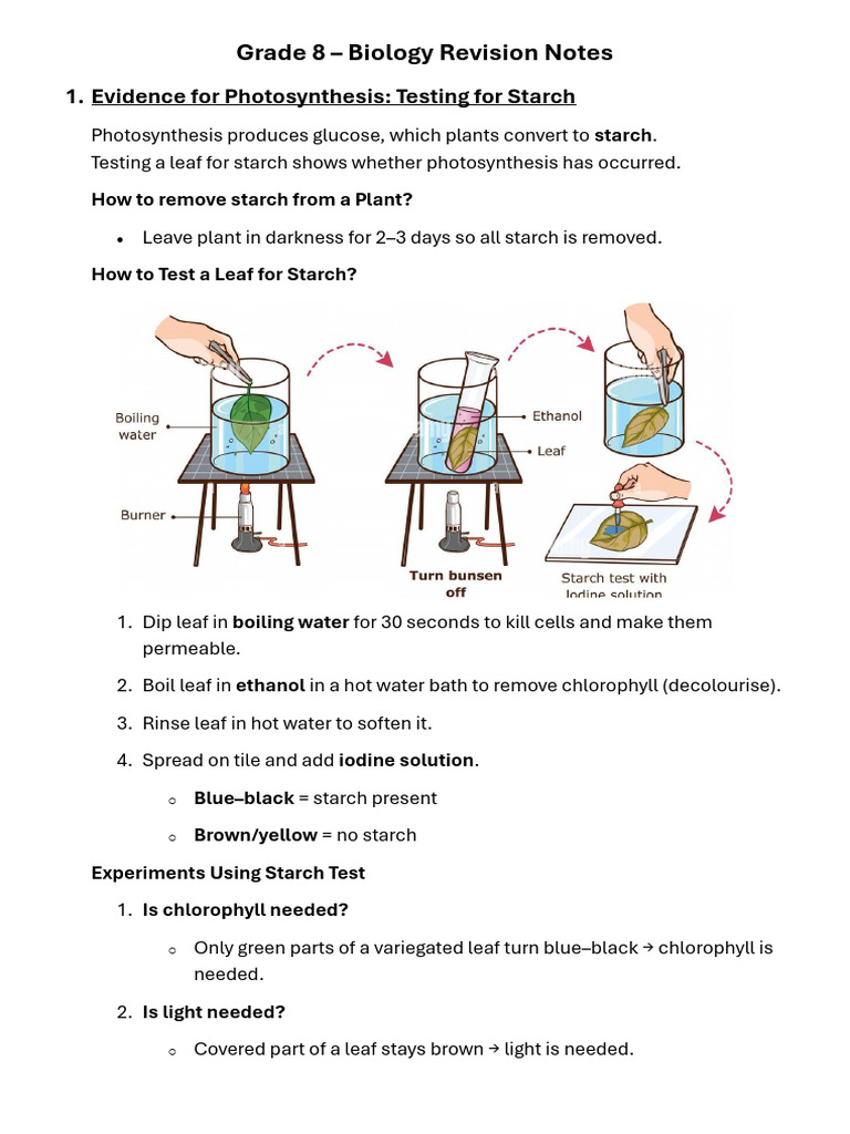 Grade 8 - Biology Final Revision Summary | PDF | Excretion | Diffusion