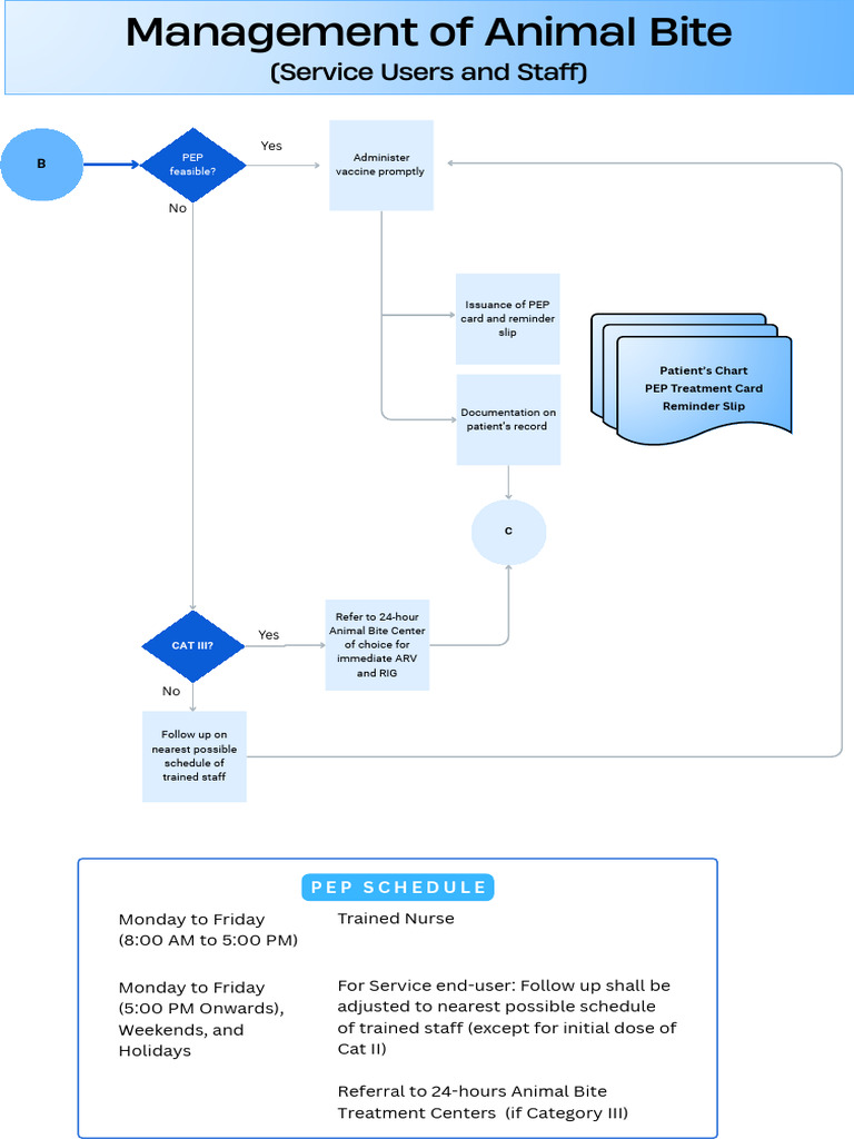 Animal Exposure Process Flow | PDF