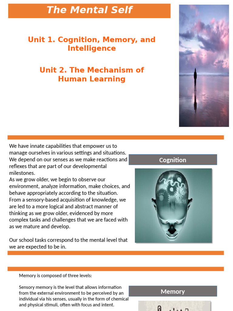 Intelligence and Human Mechanism | PDF | Learning | Intelligence
