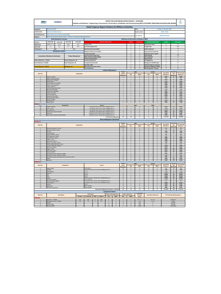 Daily Progress Report: NFXP Project | PDF | Safety