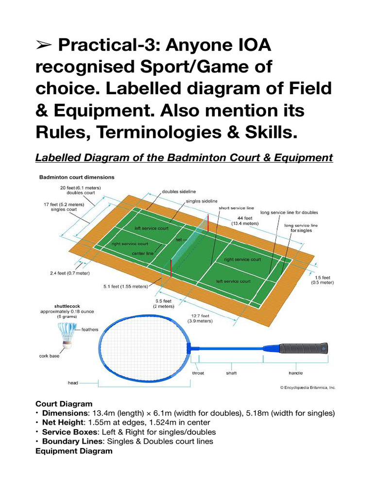 Badminton Rules, Skills, and Court Diagram | PDF