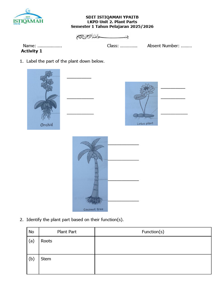 LKPD Unit 2. Plant (Activity) | PDF | Plants | Plant Morphology