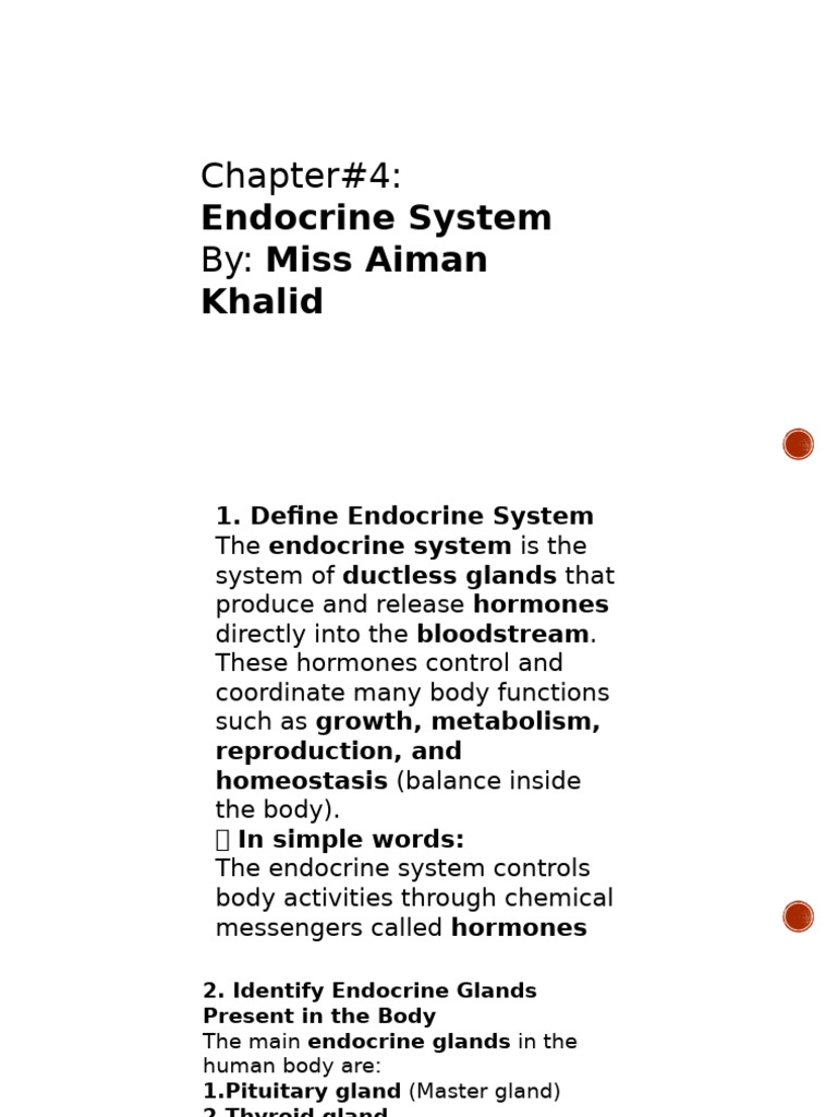 Endocrine System | PDF | Endocrine System | Human Anatomy