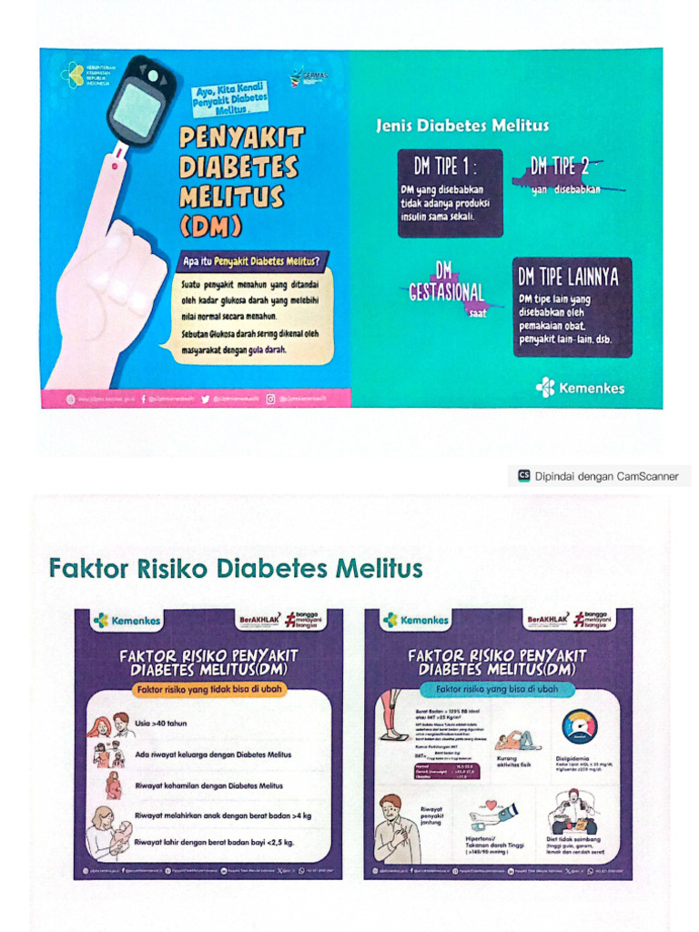 Diabetes Melitus | PDF