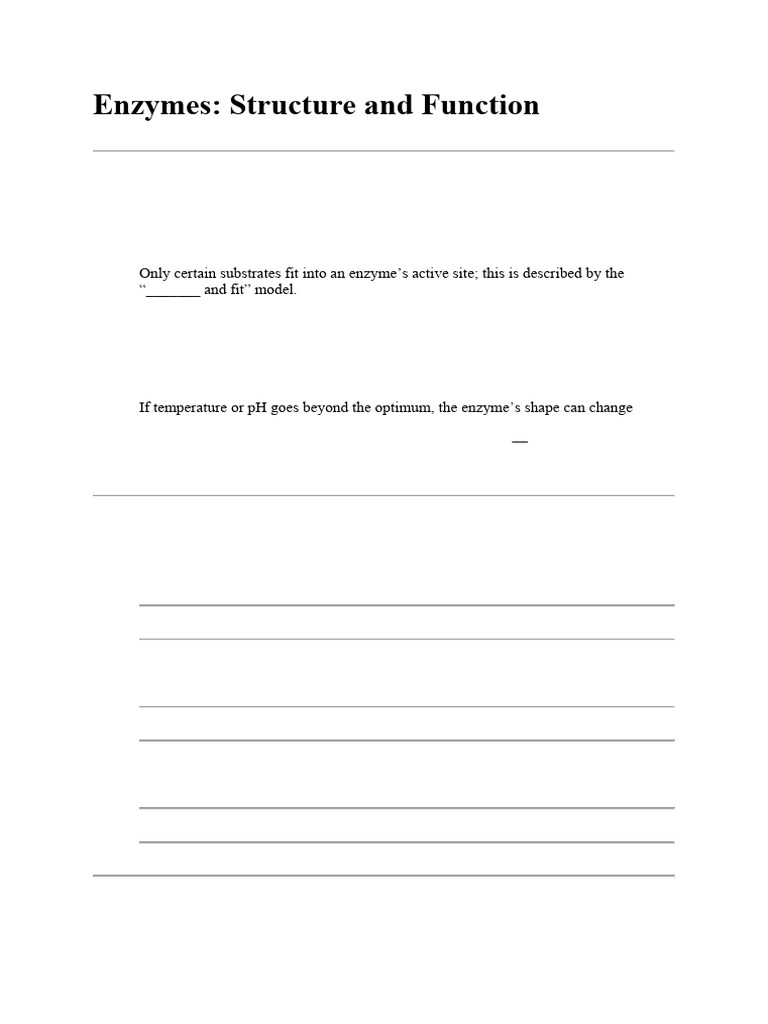 Enzymes Worksheet GPT | PDF
