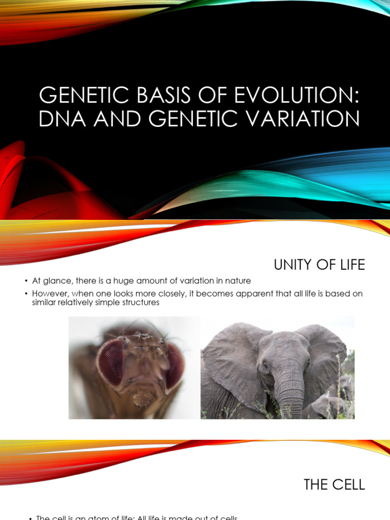 Genetic Evolution: DNA, RNA, and Variation | PDF | Sexual Reproduction ...
