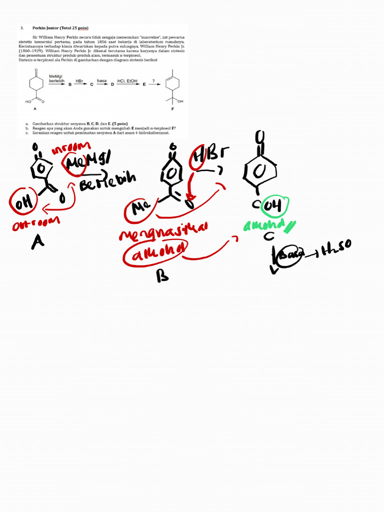 Kimor | PDF