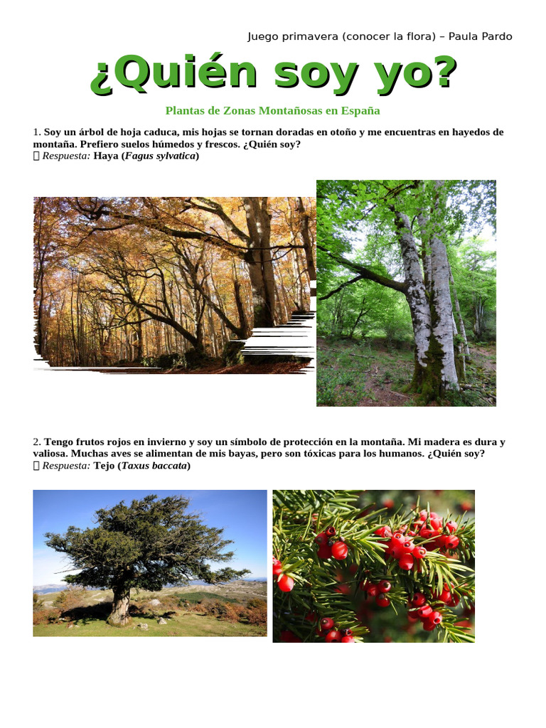 Quién soy yo? flora española | PDF