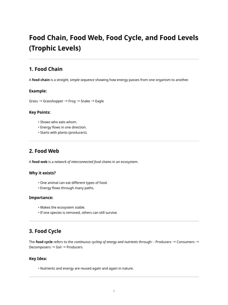 Food Chain Notes | PDF