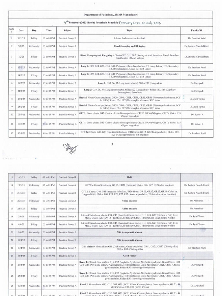 4th Semester (2023 Batch) Practical Schedule From February To July 2025 | PDF