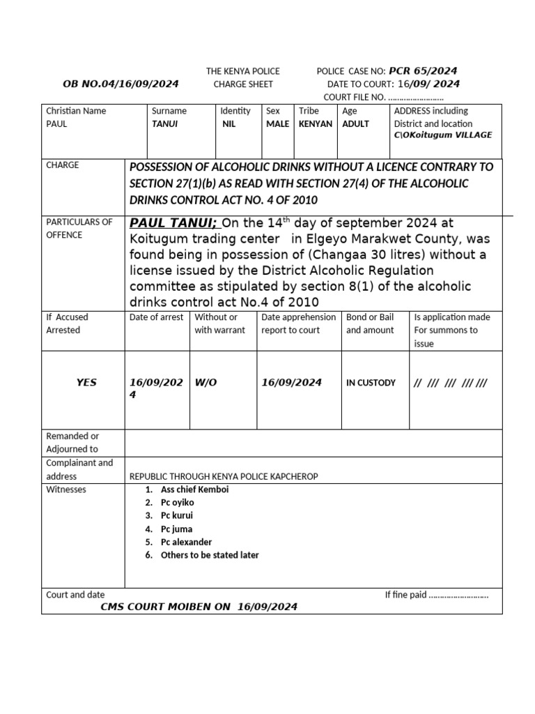 Possession Alcoholic Drinks | PDF